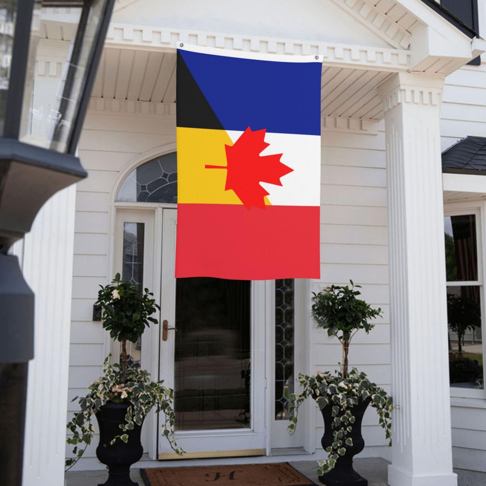 French Language Flag