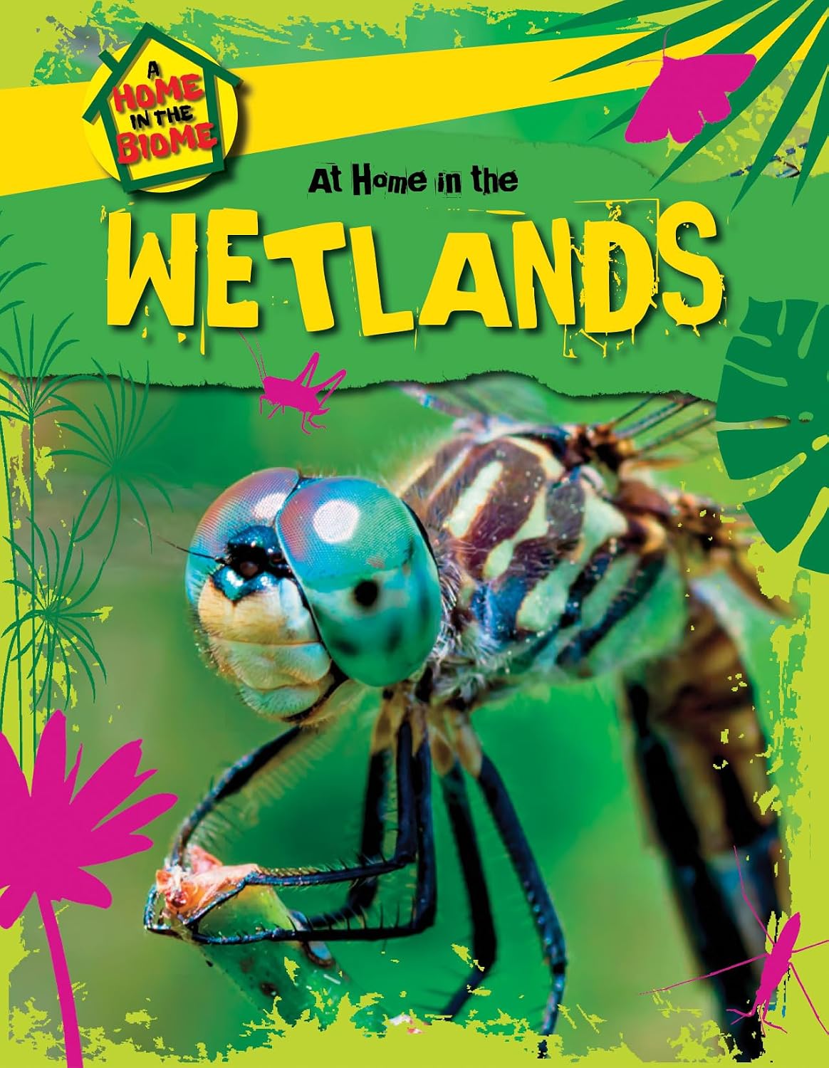 At Home in the Wetlands (A Home in the Biome, 6): Spilsbury, Richard ...