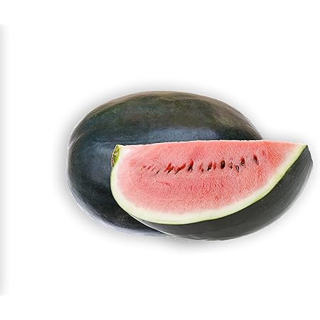 Amazon.com : 50 Black Diamond Watermelon Seeds for Planting - Heirloom ...