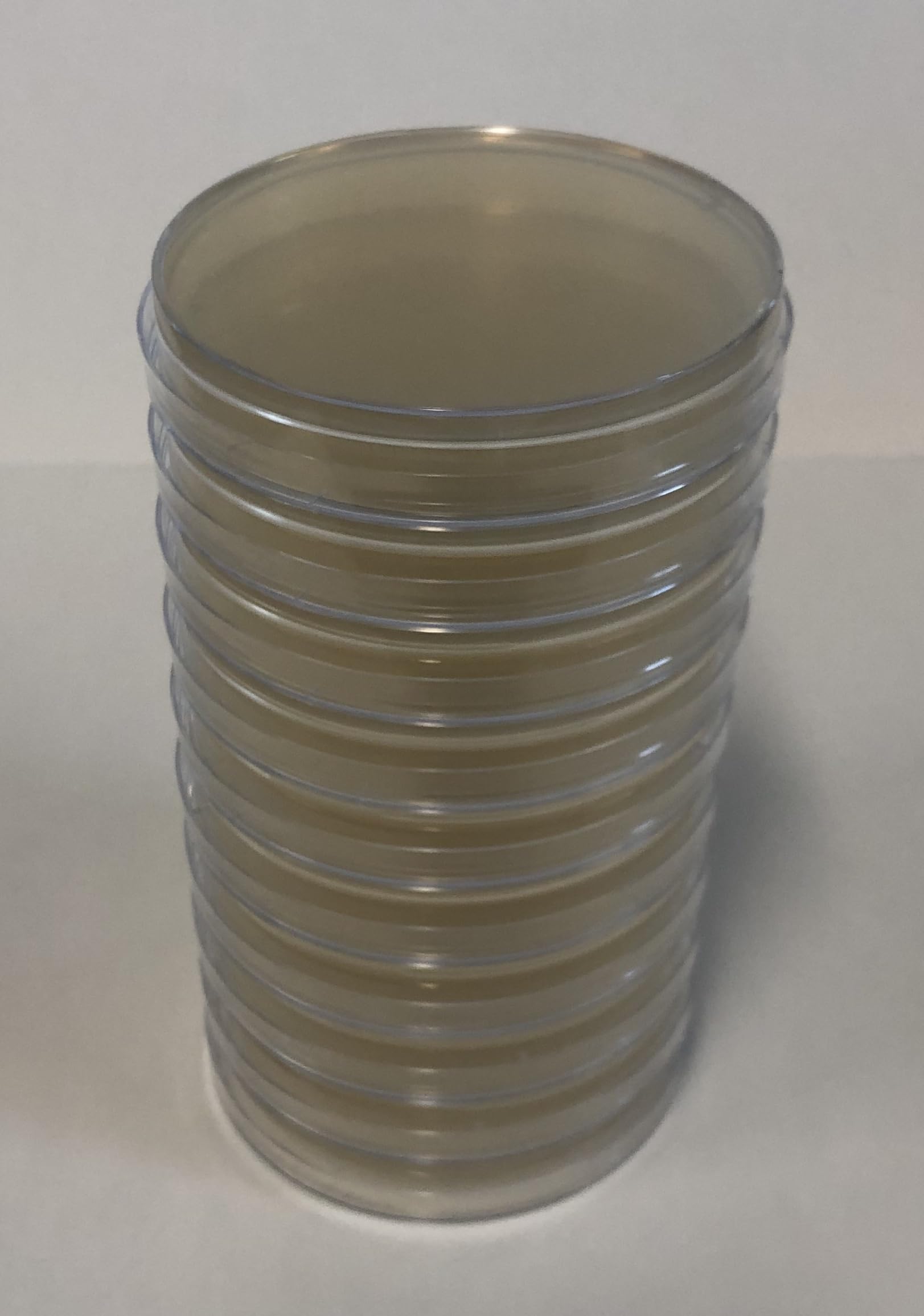 Potato Dextrose Agar Plates 10pcs Prepoured Potato Dextrose Agar Pda ...