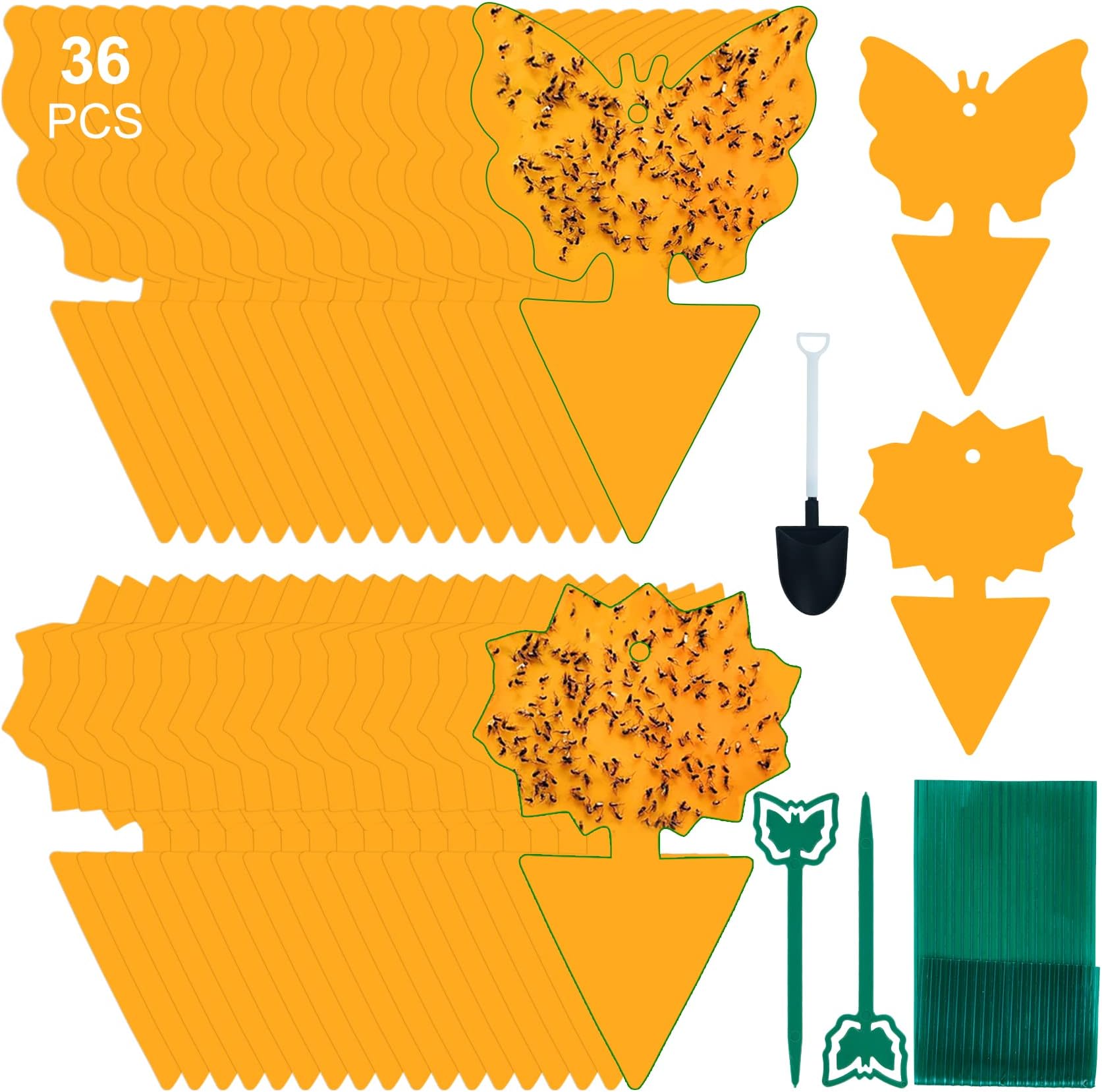 Amazon.com : 36 Pack Fruit Fly Traps for Indoors Gnat Traps for House ...