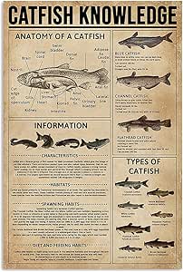 Amazon.com: Catfish Knowledge Metal Tin Signs Catfish Information Retro ...