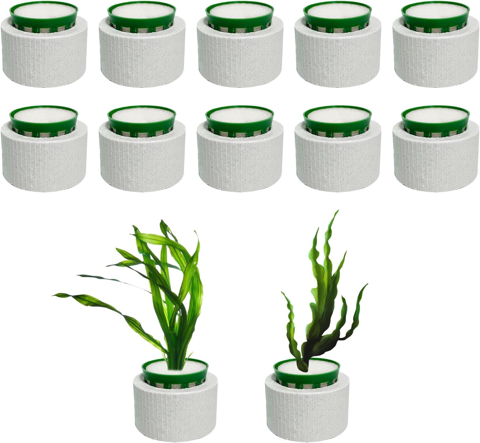 Amazon.com: Wzttdm 8 Set Anti-Floating Ceramic Aquarium Plant Rings ...