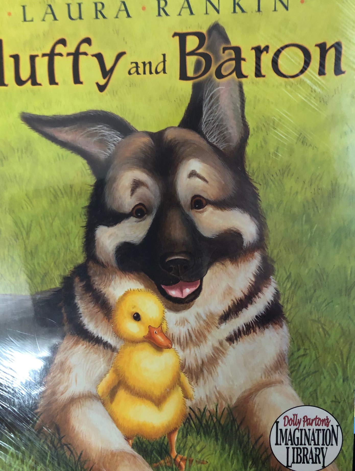 Fluffy and Baron: Rankin, Laura: 9780545238335: Amazon.com: Books