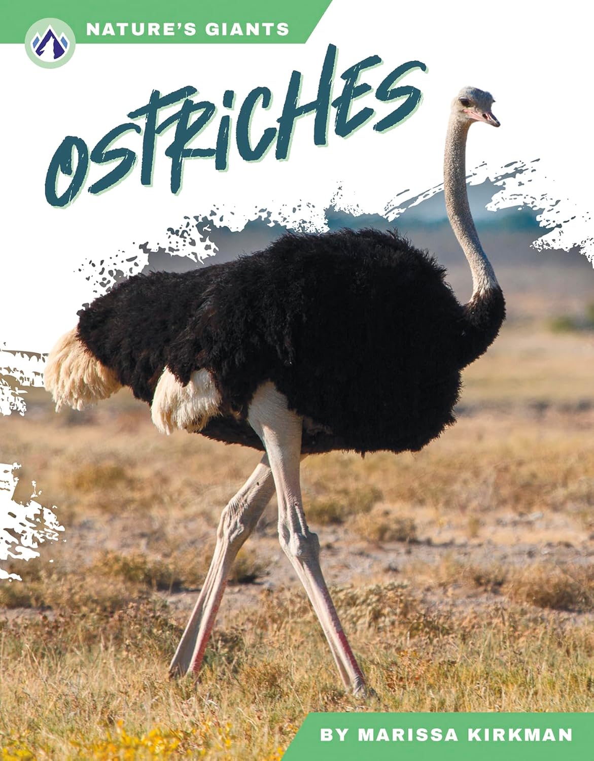 Ostriches (Nature's Giants): Marissa Kirkman: 9781637389409: Amazon.com ...