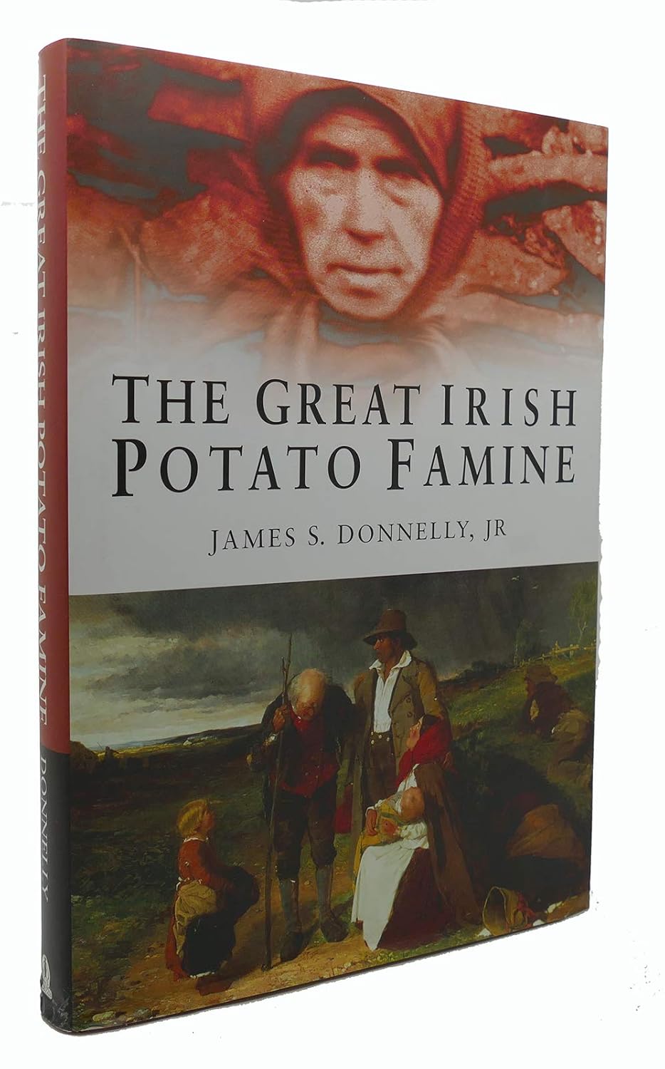 The Great Irish Potato Famine: James S. Donnelly Jr.: 9780750926324 ...