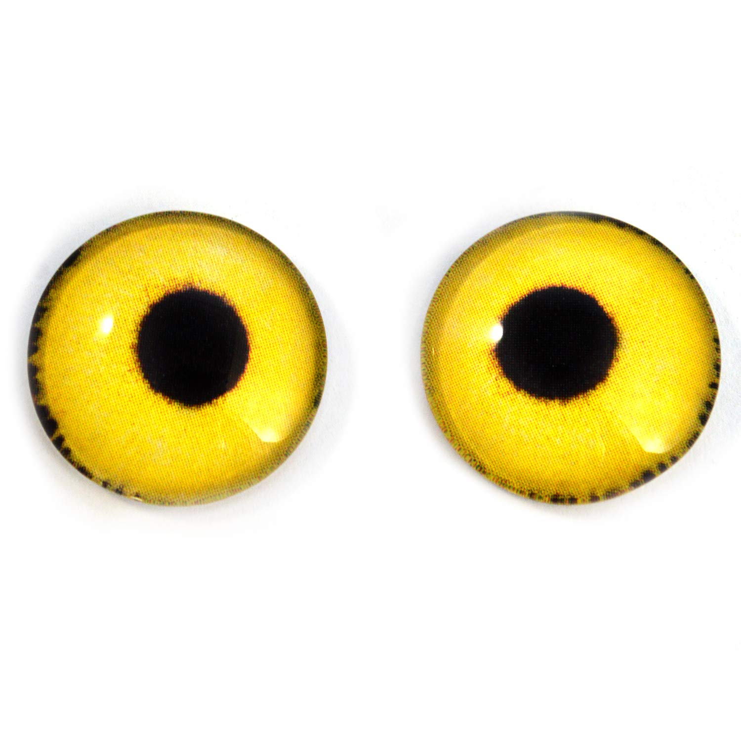 Hawk Yellow Eyes