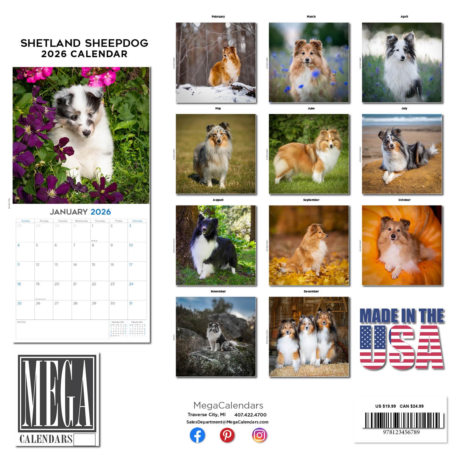 Snapklik.com : 2026 Shetland Sheepdog Calendar - Dog Breed Wall ...