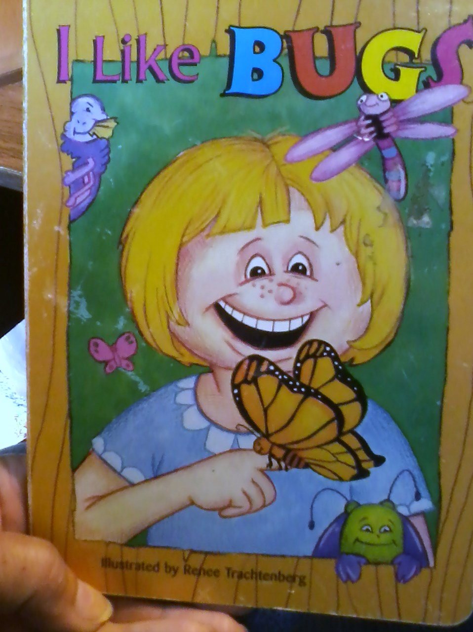 I Like Bugs: Renee Trachtenberg: 9781569877371: Amazon.com: Books