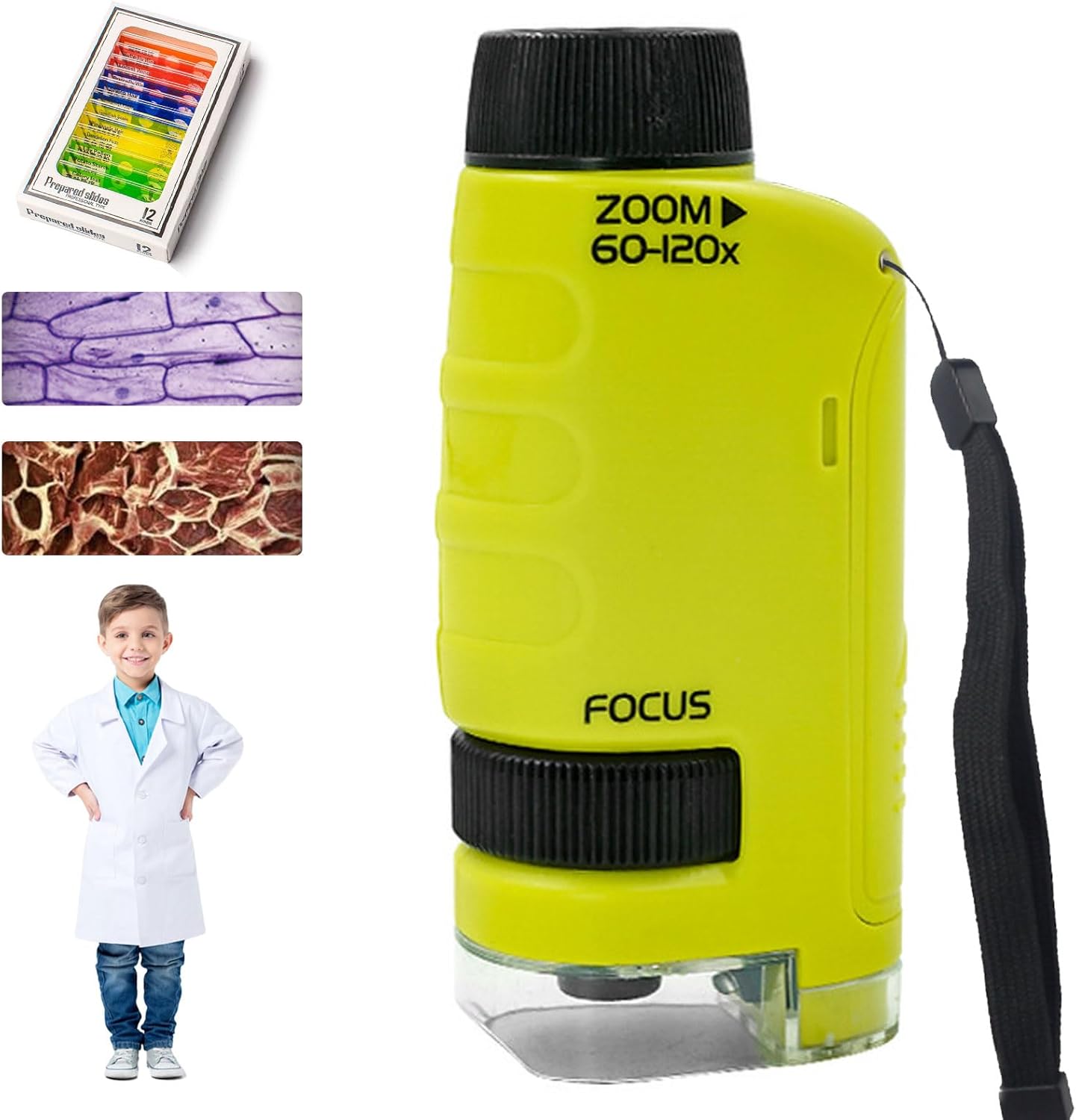 Amazon.com: Microscope for Kids, Pocket Microscope for Minilabsters ...