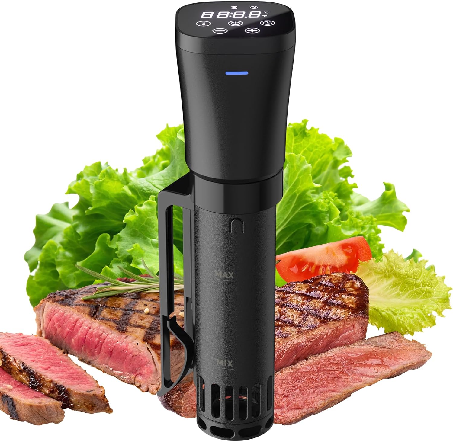 Sous Vide Roner Cucina a Bassa Temperatura 1000W Slow Cooker ...