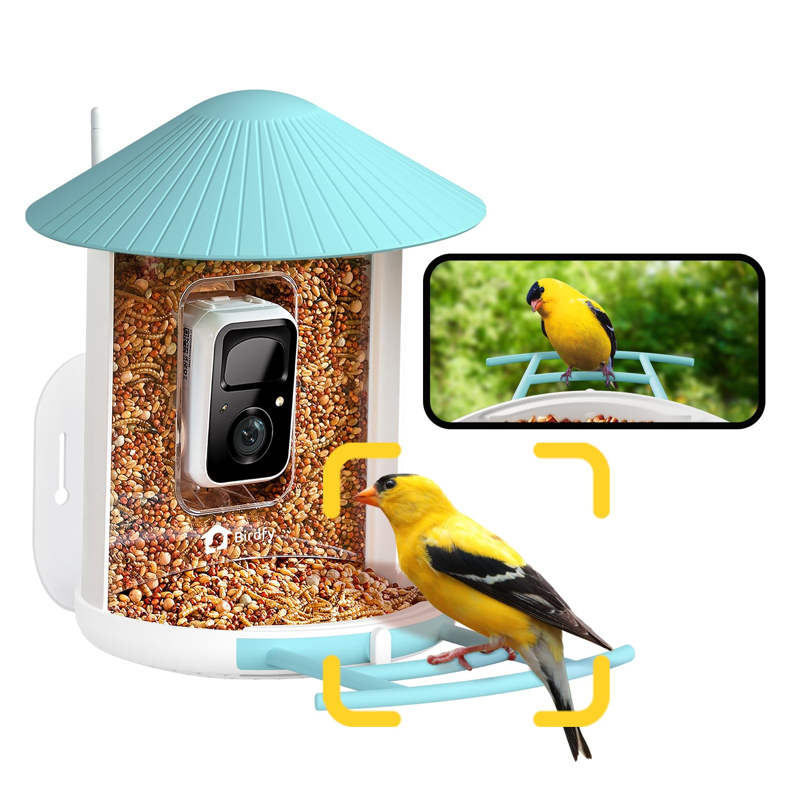 NETVUE Birdfy〓 Pro Bird Feeder with Camera, Wider Perch DIY Add o 並行輸入品 ...