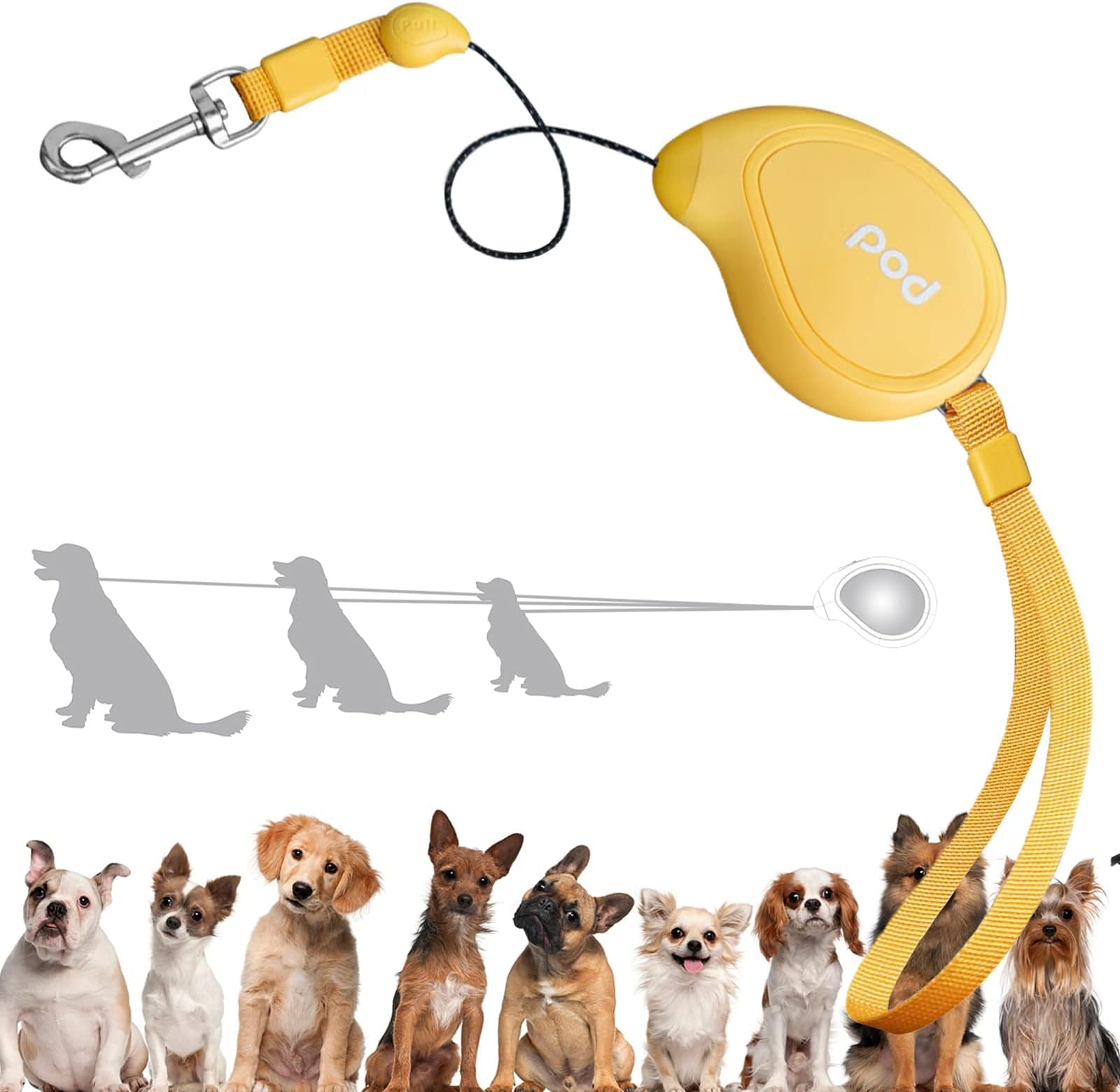 Amazon.com : Retractable Tangle-Free Dog Leash Tractor for Small Large ...