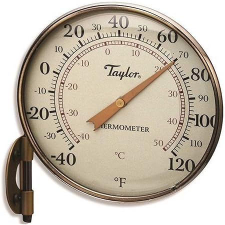 Amazon.com : Taylor Precision Replacement Thermometer Probe : Kitchen ...