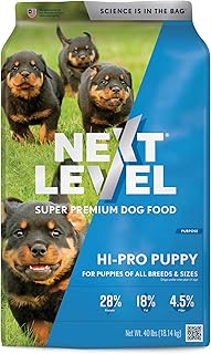 Understanding High Globulin And Protein Levels In Dogs | MedShun