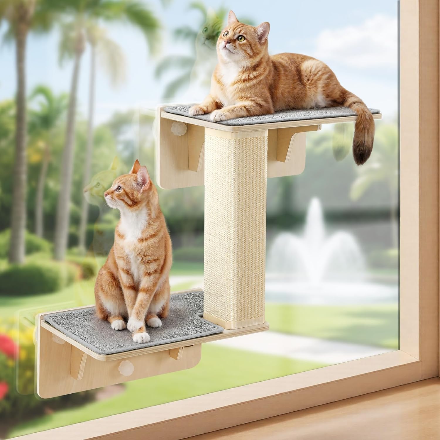 Amazon.com : Pecute Double Cat Shelves with Scratching Post for Wall and Window with Solid Wood ...