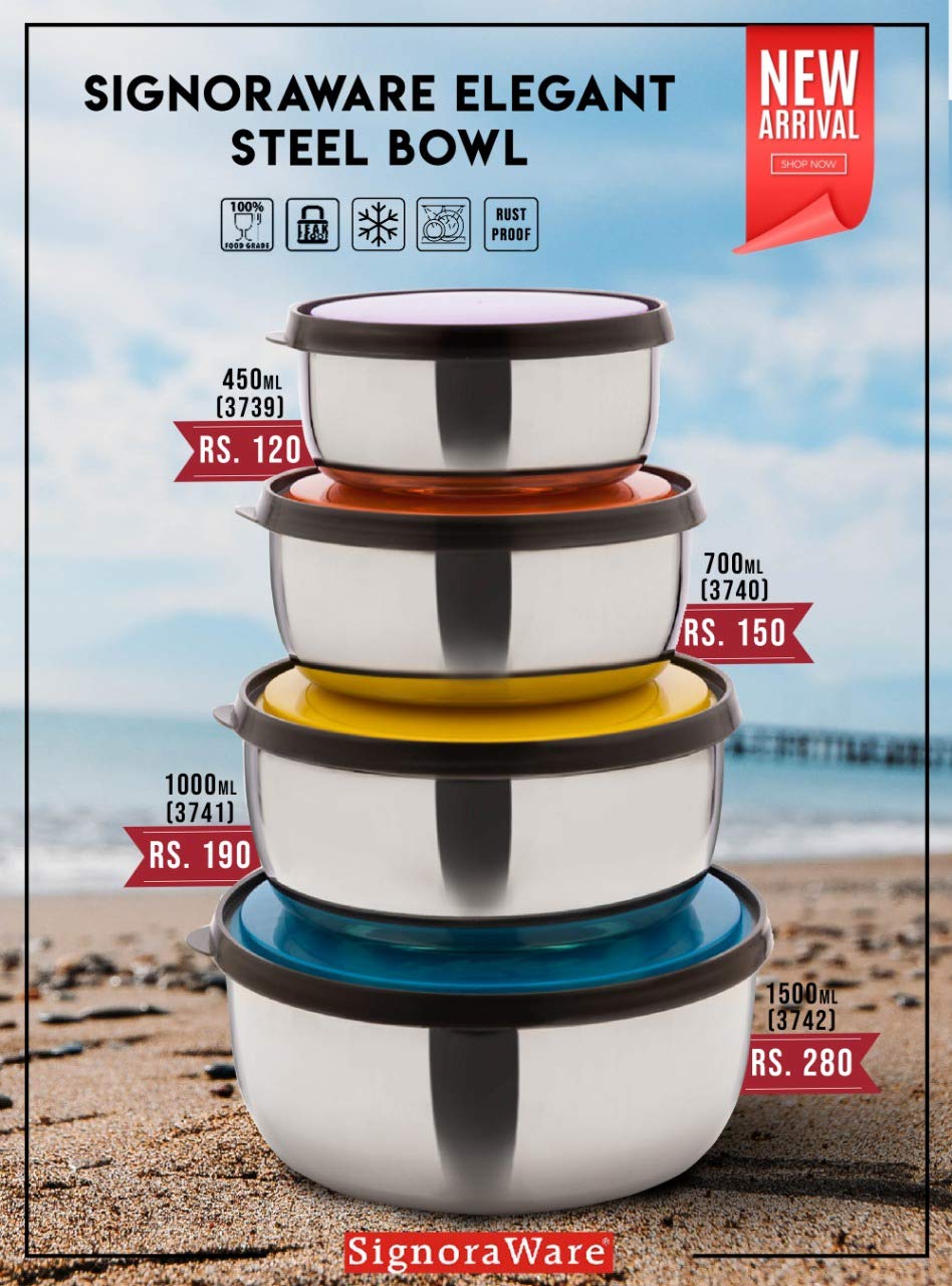 Buy Signoraware Elegant Steel Container Set of 4 (375ml+ 625ml+1ltr ...
