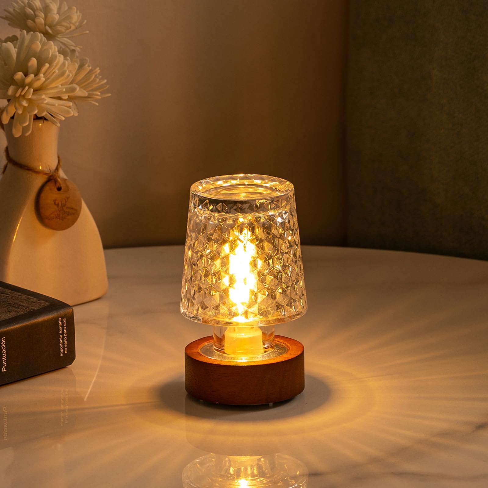 Amazon.com: ZEEFO LED Night Light, Battery-Powered Portable Night Lamp ...