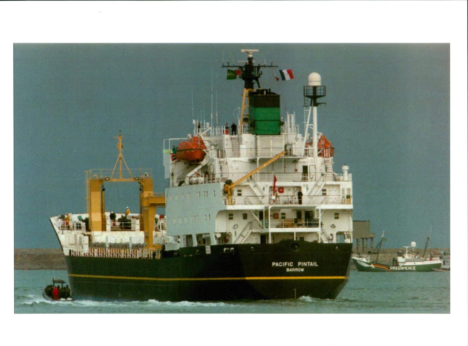 Amazon.com: Vintage photo of Ship: Pacific Pintail : Everything Else