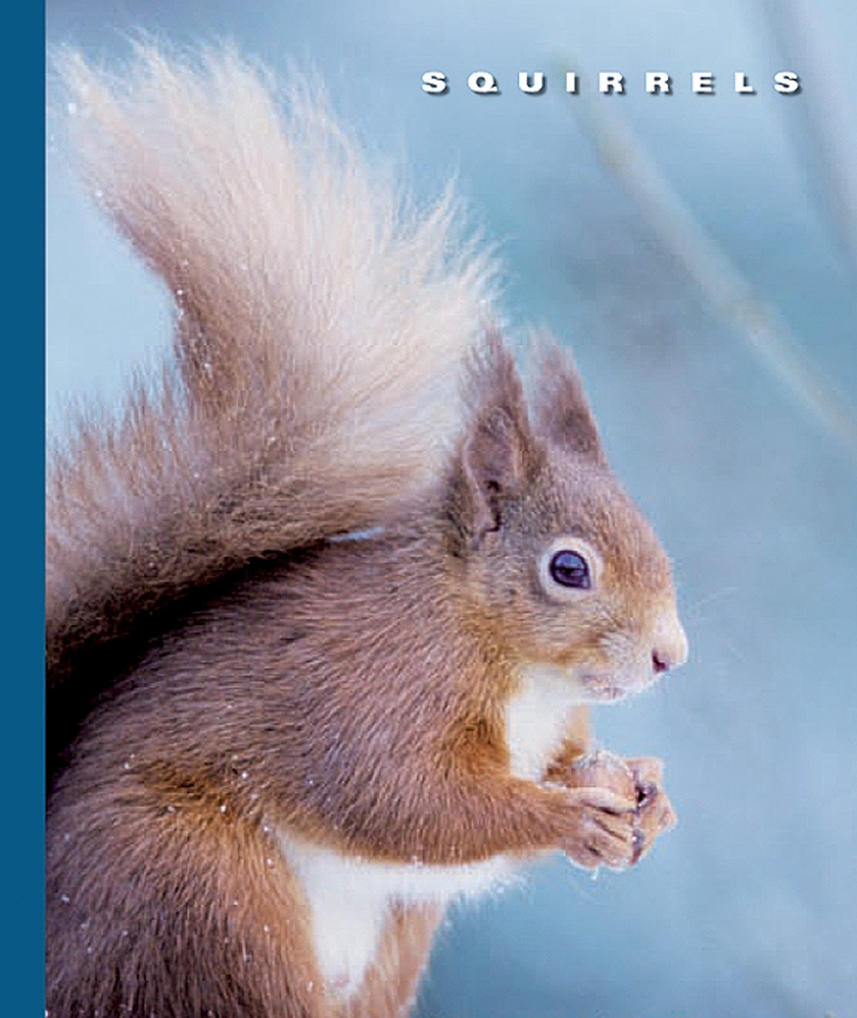 Amazon.com: Squirrels (The World of Mammals Book 1244) eBook : Murray ...