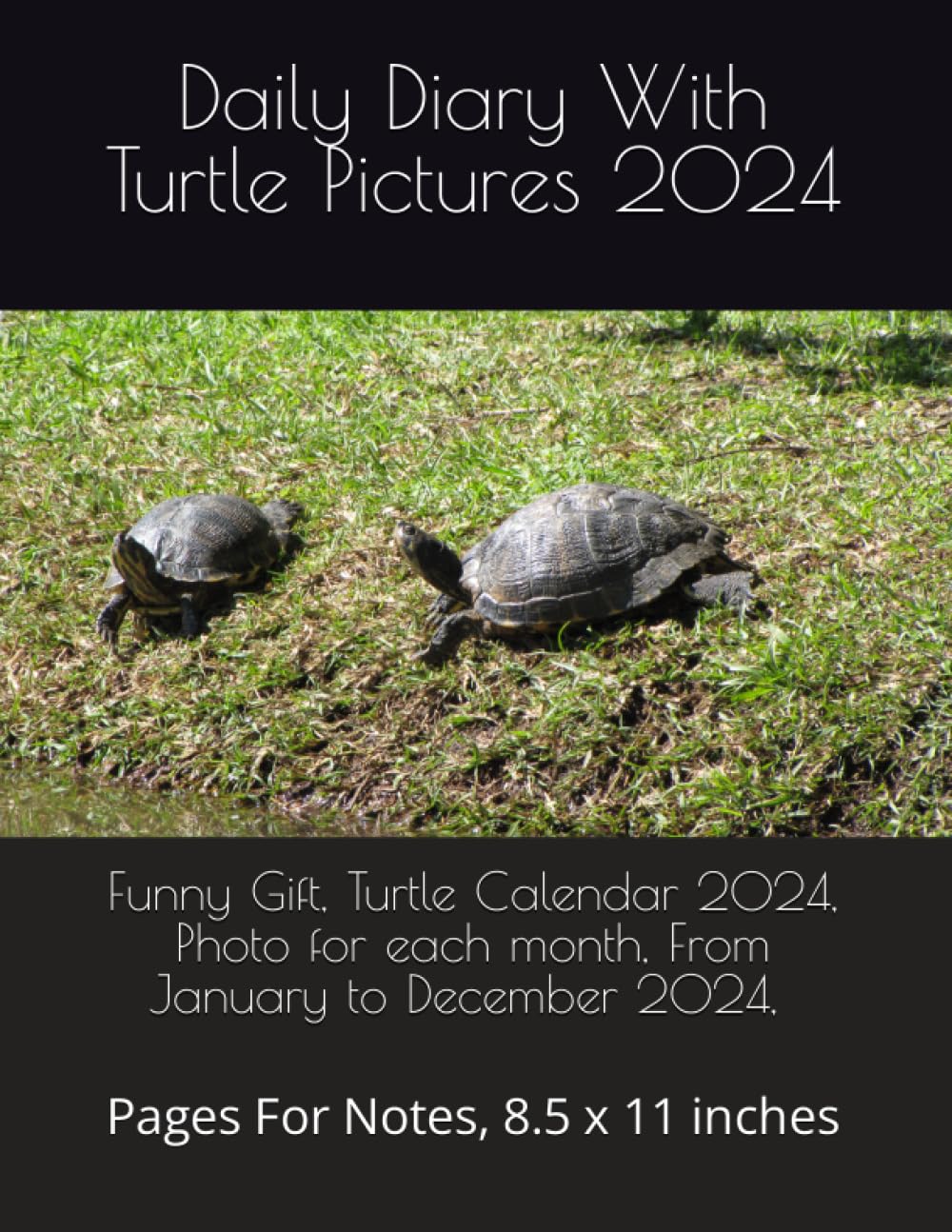 Daily Diary With Turtle Pictures 2024: Funny Gift, Turtle Calendar 2024 ...