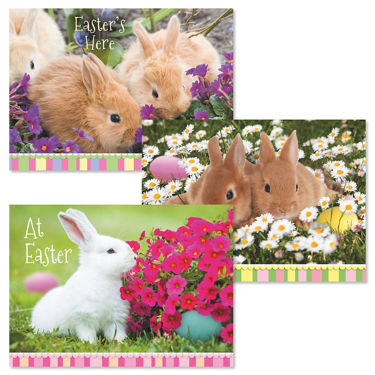Snapklik.com : Photo Bunny Easter Cards - Set Of 12