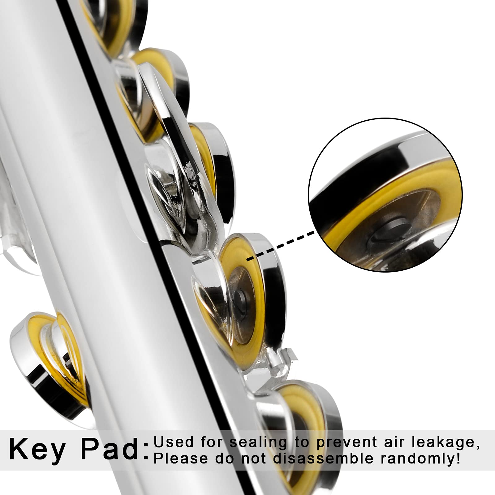 Snapklik.com : EASTROCK Open Hole Flutes C 16 Keys Silver Plated Flute ...
