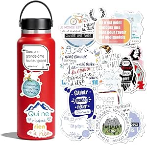 Amazon.com: French Inspirational Stickers for Teens Adults Kids ...