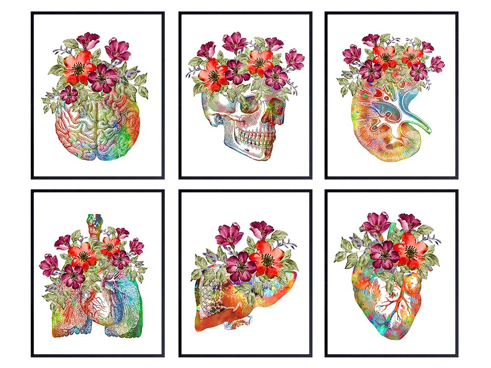 Amazon.com: Human Anatomy Wall Art Decor - Medical Office Decor Set ...