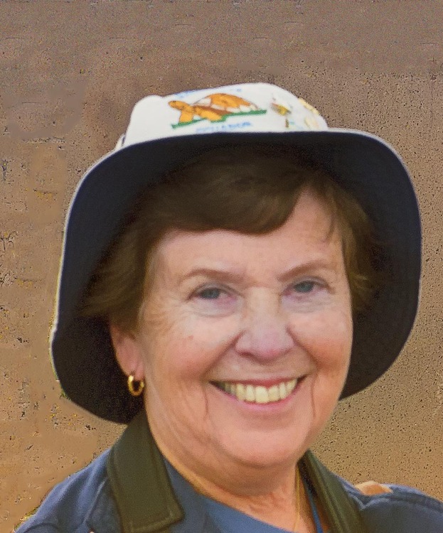 Amazon.in: Carol Wilson: books, biography, latest update