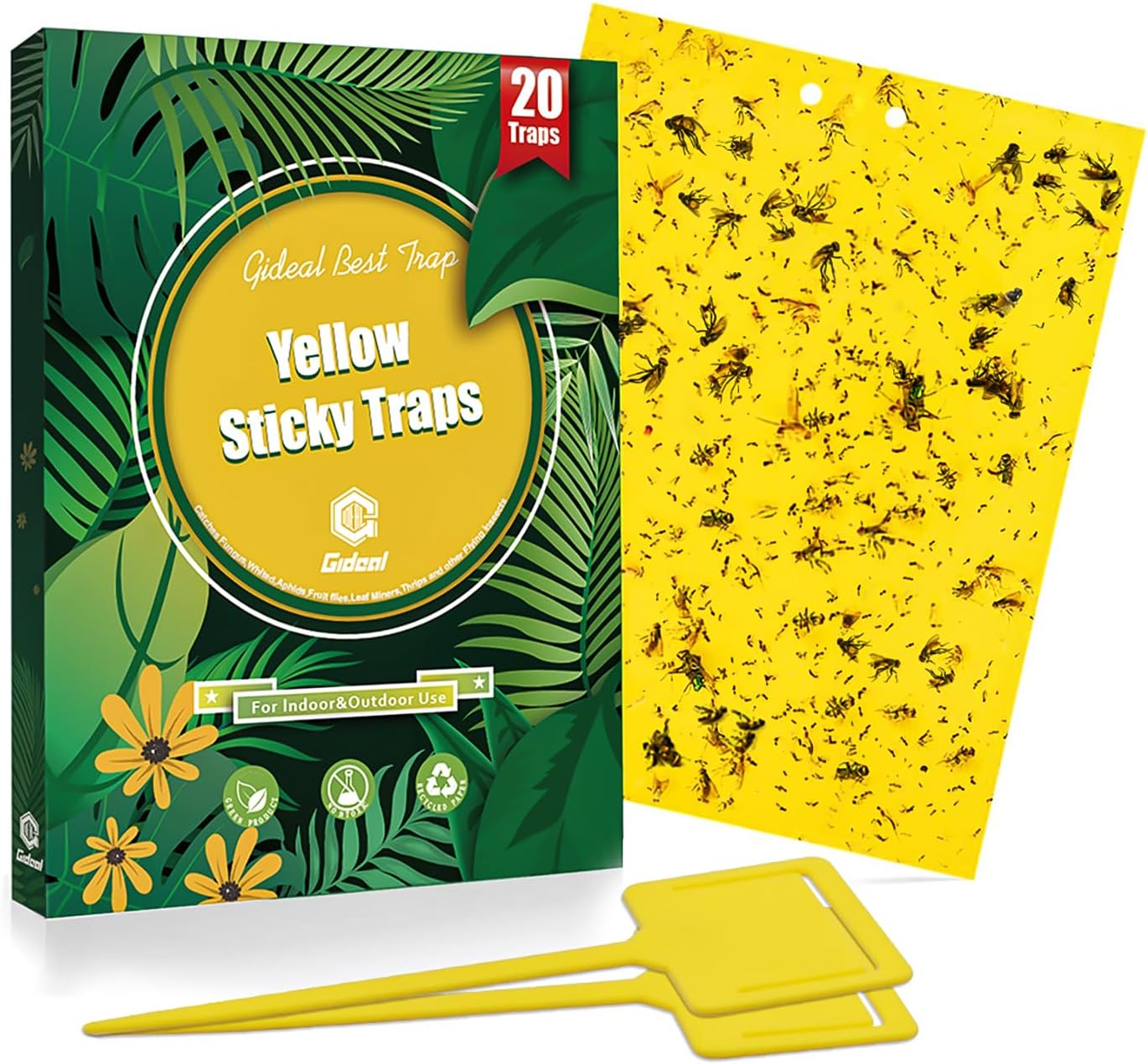 Amazon.com : Aphid and Whitefly Sticky Traps - 5 Pack : Patio, Lawn ...