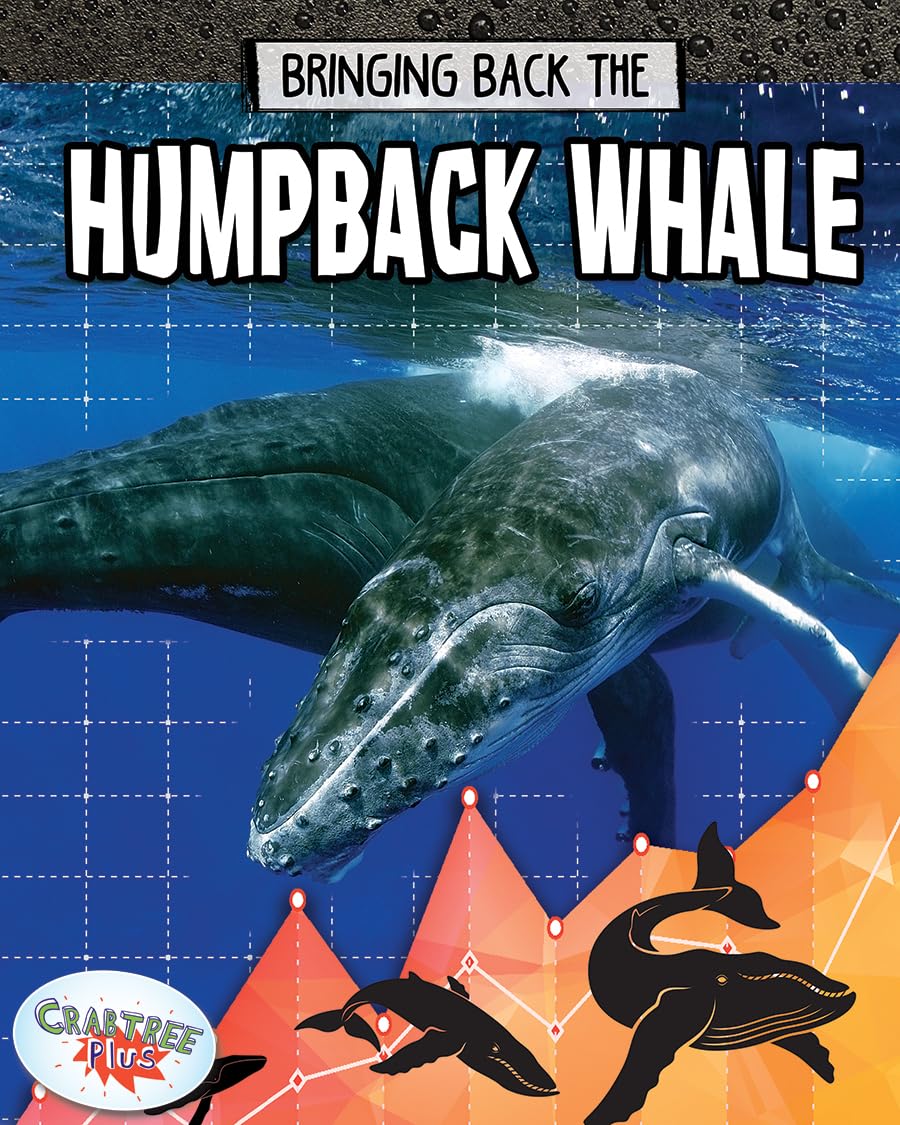 Bringing Back the Humpback Whale (Animals Back from the Brink): Spence ...