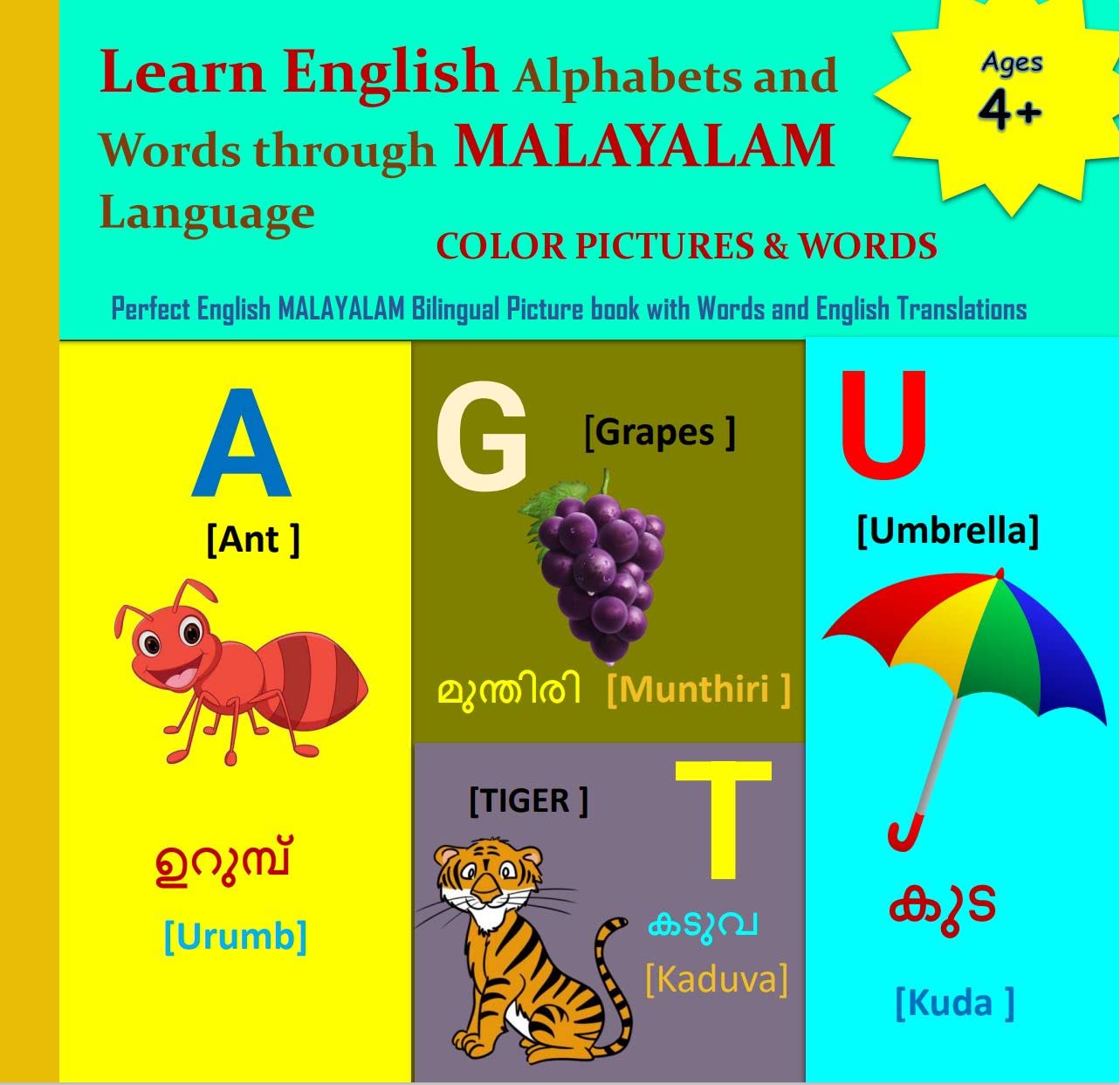 Buy Learn English Alphabets and Words through MALAYALAM Language COLOR ...