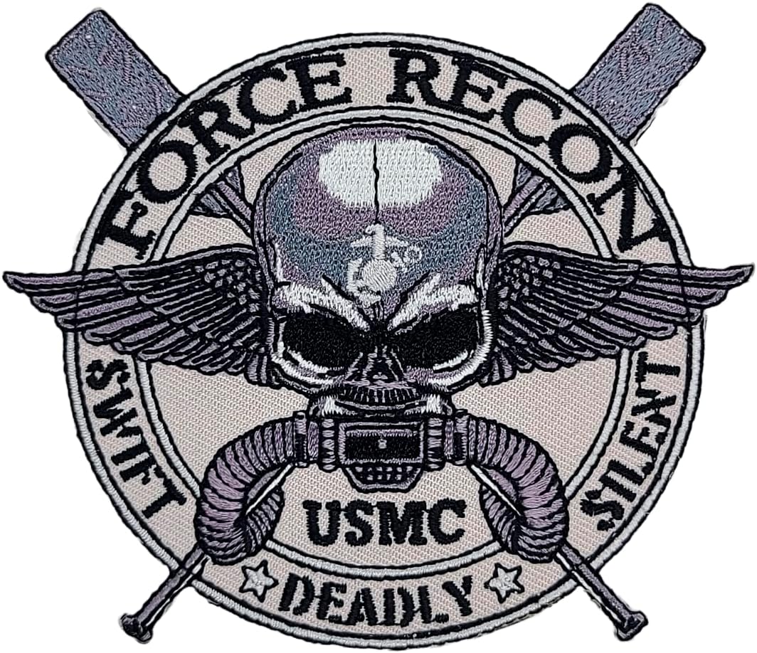 Amazon.com: Force Recon Swift Deadly Patch - 4 x 3.75 inch Hook ...