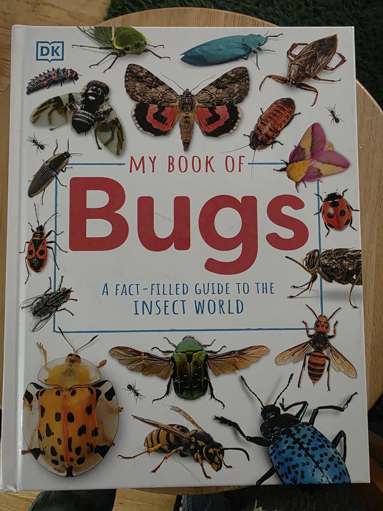 My Book of Bugs: A Fact-Filled Guide to the Insect World : DK: Amazon ...