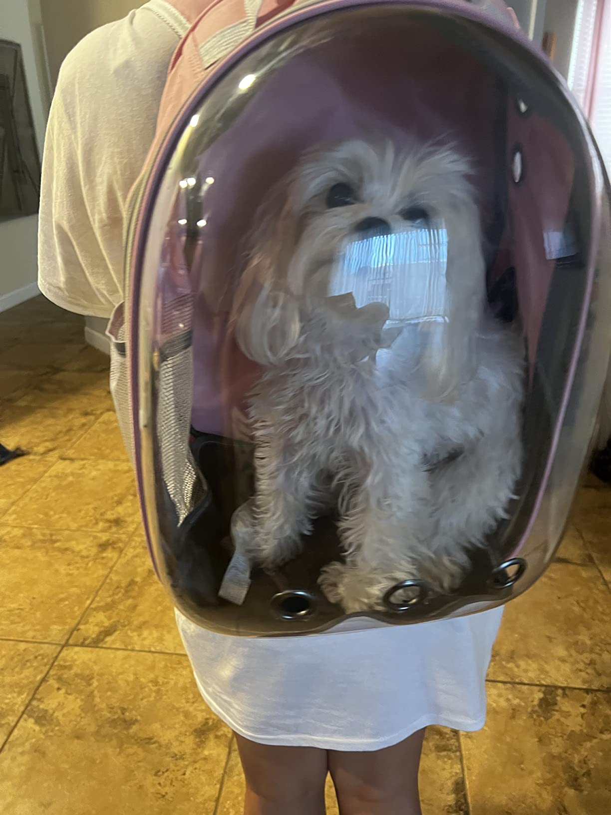 $8/mo - Finance XZKING Cat Backpack Carrier Bubble Bag, Transparent ...