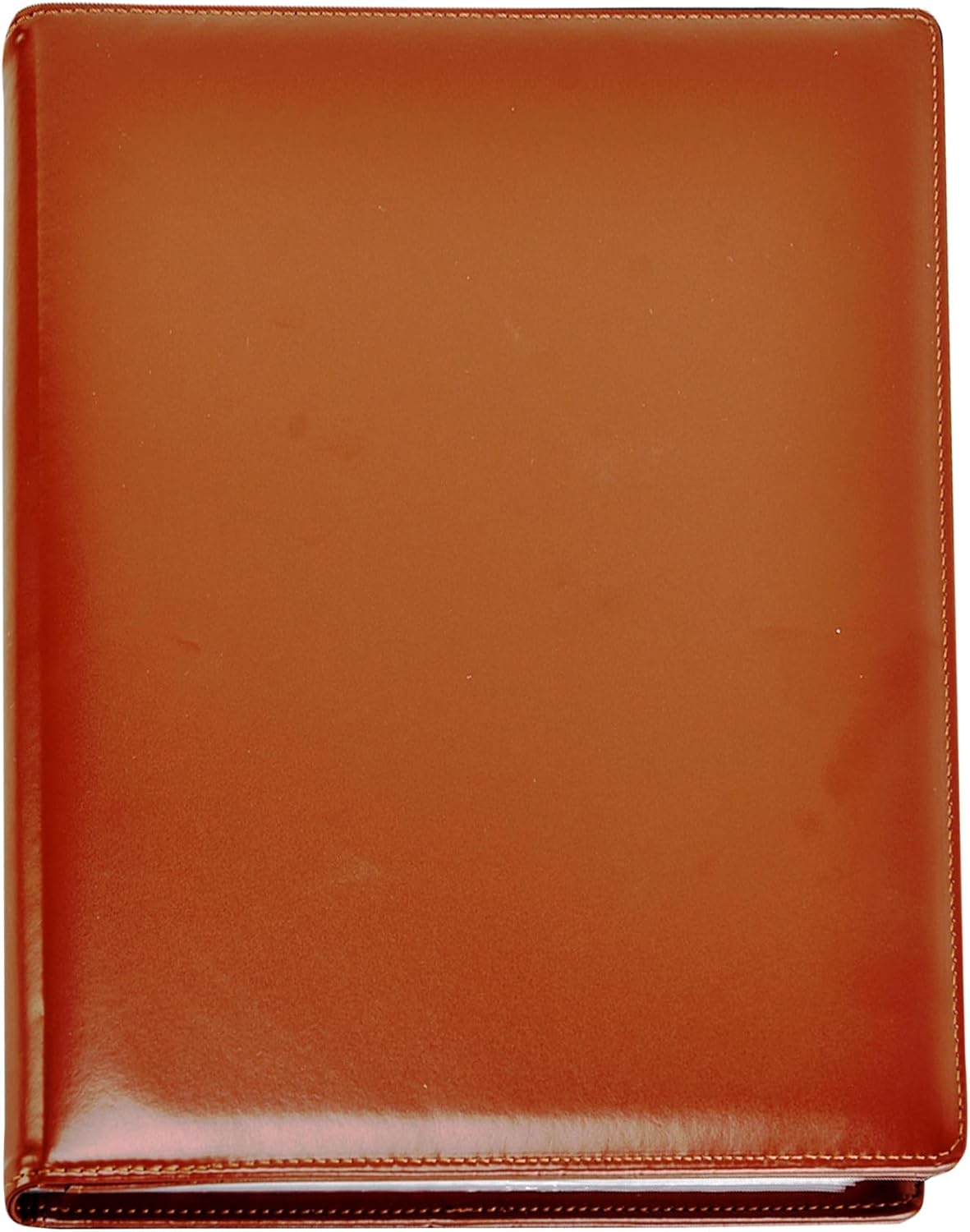 Arpan A4 Professional Display Book Folder for Presentations, CVS ...