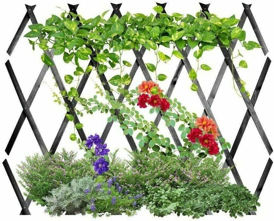 WILSONS DIRECT - Extendable Wooden Trellis Natural Garden Expanding ...