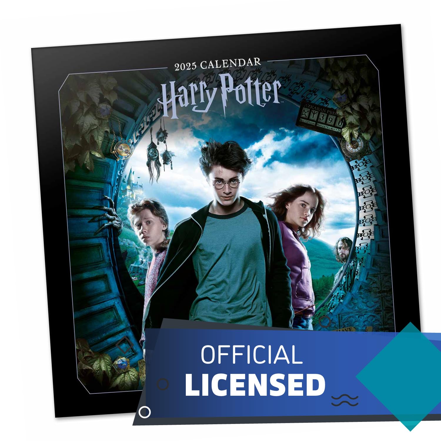 Buy Grupo Erik Harry Potter Wall 2025 | 12" x 12" Square 2025, Wall ...