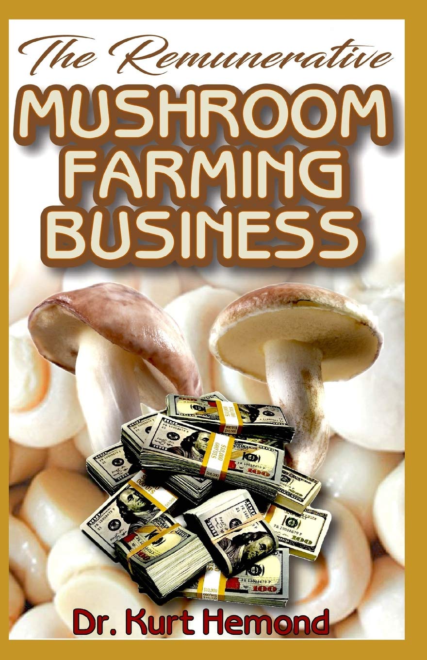 The Remunerative Mushroom Farming Business A Beginner Step By Step ...