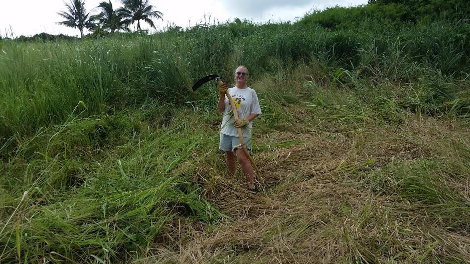 Amazon.com : Seymour SN-1 Wood Snath : Scythe : Patio, Lawn & Garden