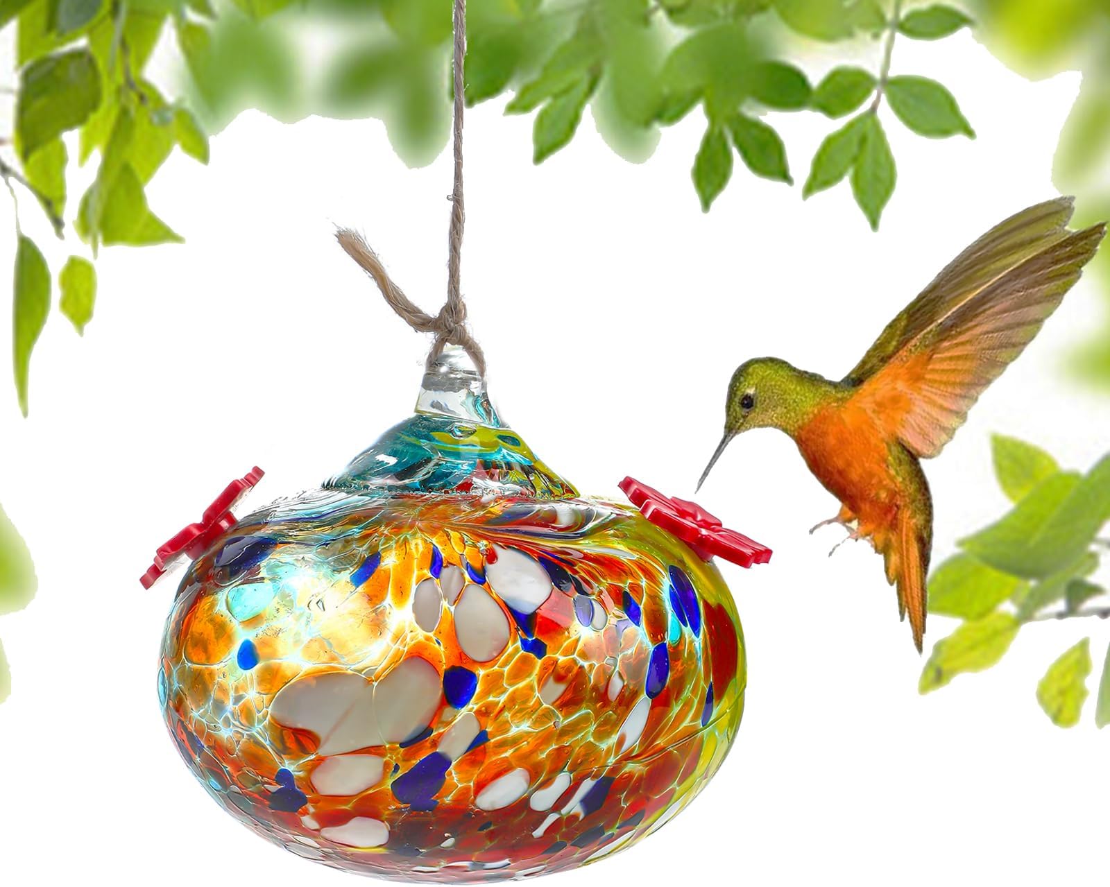 Amazon.com : 6 Bird Food Donuts and Hanging Feeder - Handmade Feeder ...