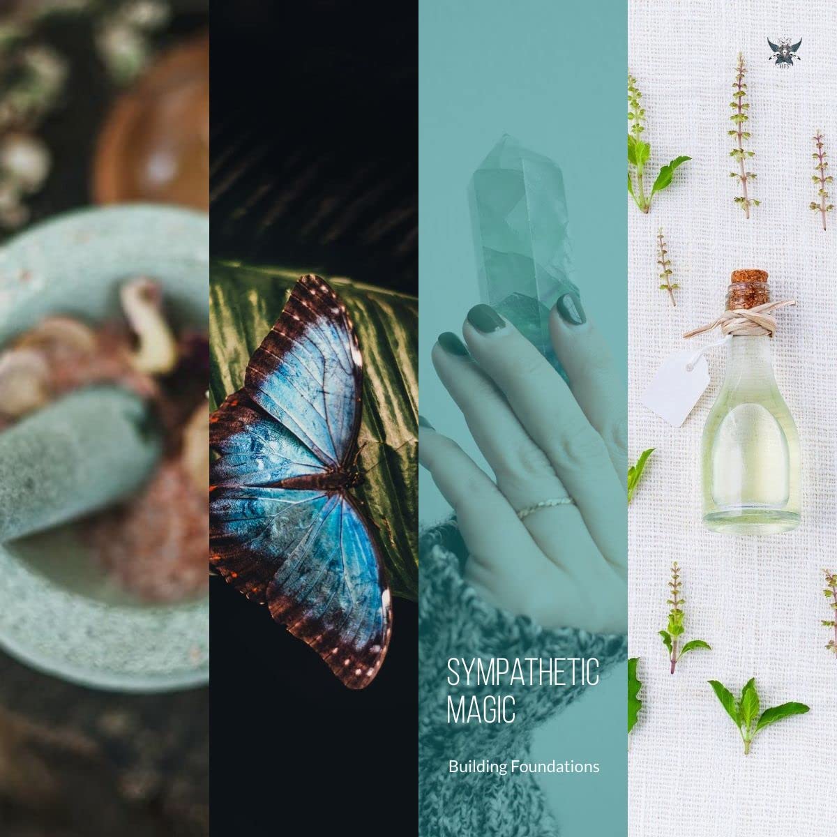 Amazon.com: Sympathetic Magic: Traditional Witchcraft (Hekate's ...