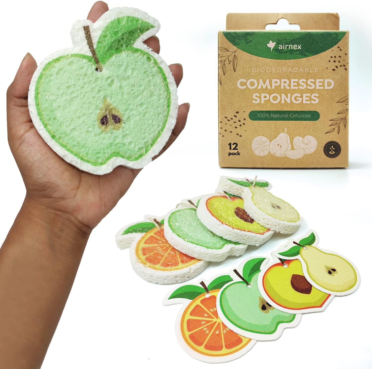 Amazon.com: AIRNEX Biodegradable Cellulose Compressed Sponges - Pack of ...