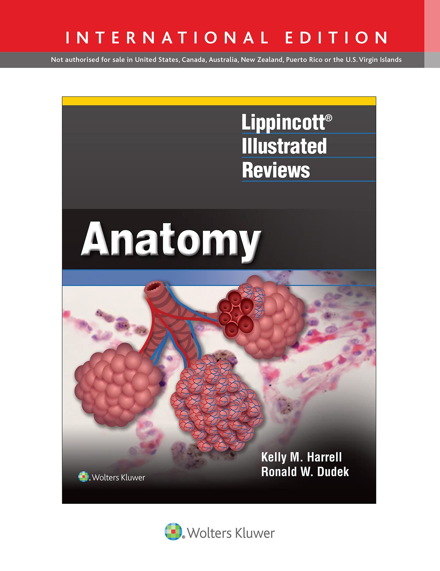 Lippincott (R) Illustrated Reviews: Anatomy (Lippincott Illustrated ...