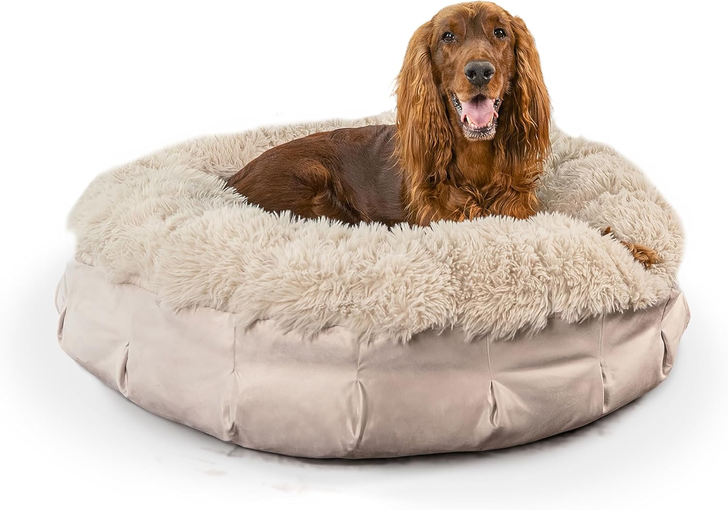 Amazon.com : Best Friends by Sheri Ultra Calming Pouf Bed Orthopedic ...