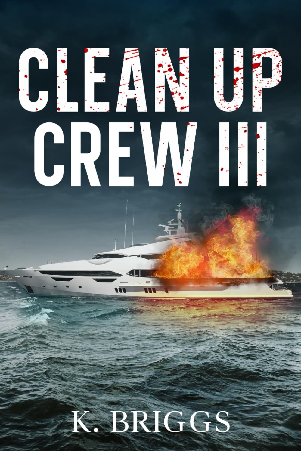 CLEAN UP CREW III: Briggs, MR Kenneth: 9798218099152: Amazon.com: Books