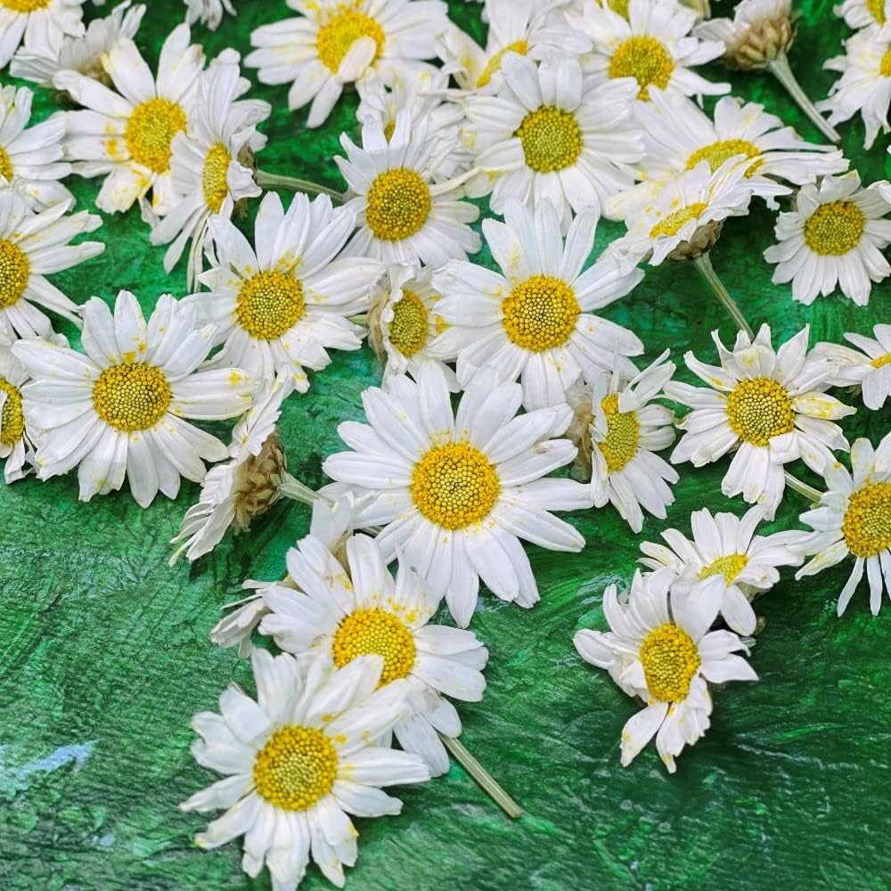 Edible Freeze Dried White Daisy Flowers - 20 Daisy Heads - Grown ...