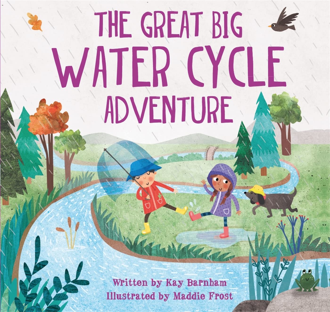 The Great Big Water Cycle Adventure (Look and Wonder): Barnham, Kay ...