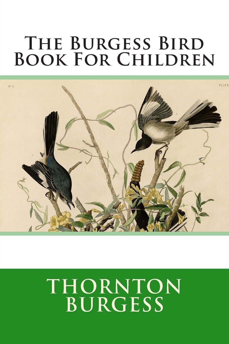 Snapklik.com : The Burgess Bird Book For Children